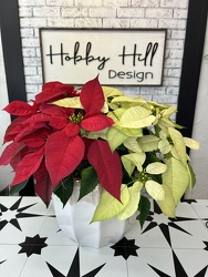 Hobby Hill Design :: Your Flower Shop Online in Sebring, Florida ...